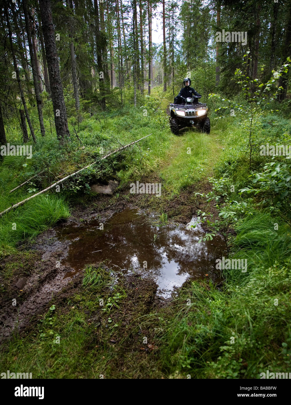 Four-wheeler in a forest Sweden Stock Photo - Alamy