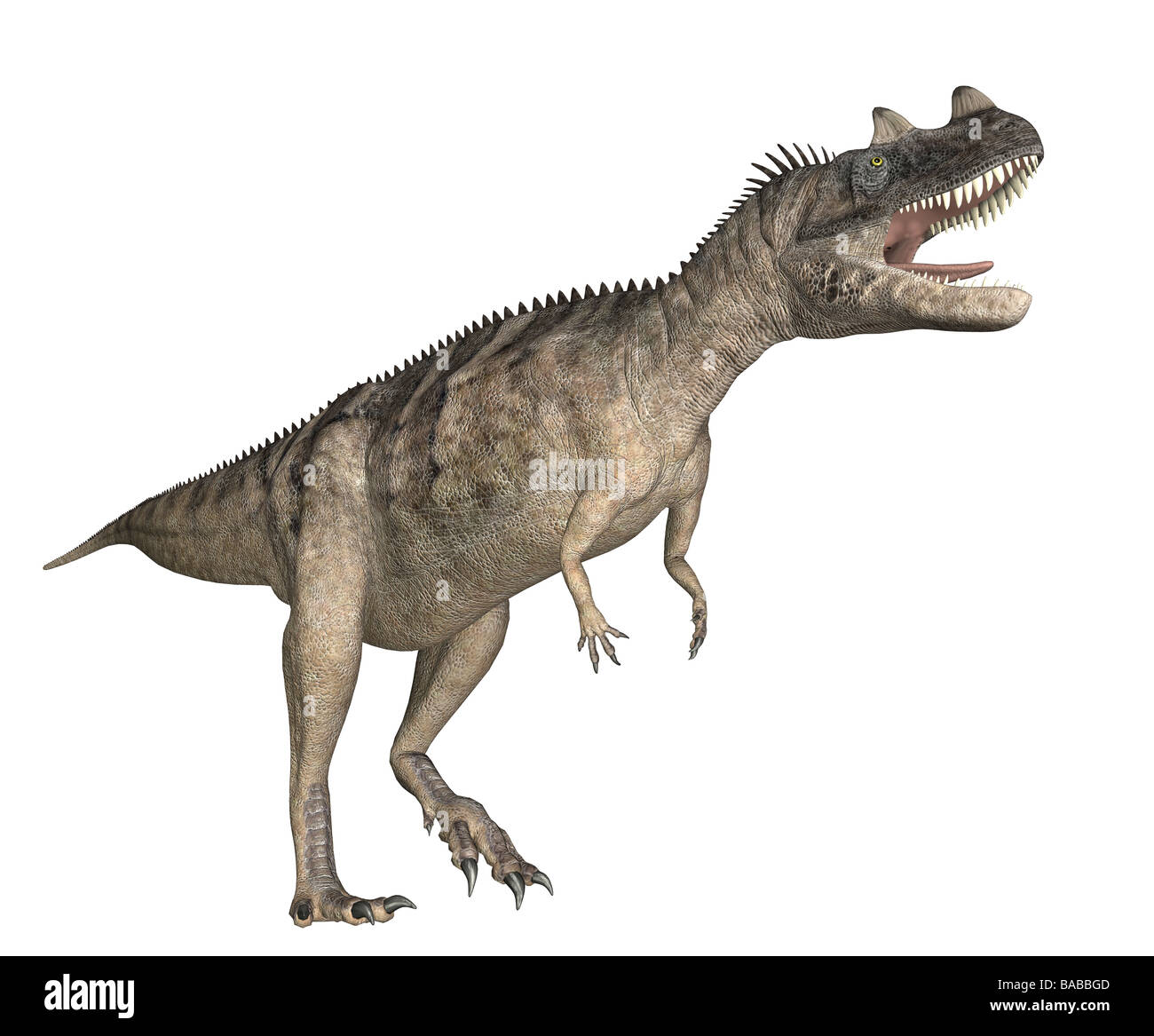 Horned Lizard Ceratosaurus High Resolution Stock Photography and Images ...