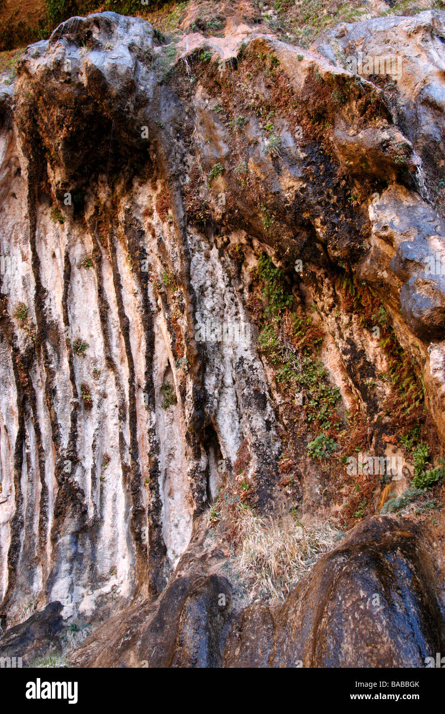 the weeping rock at zion canyon national park utah usa Stock Photo - Alamy