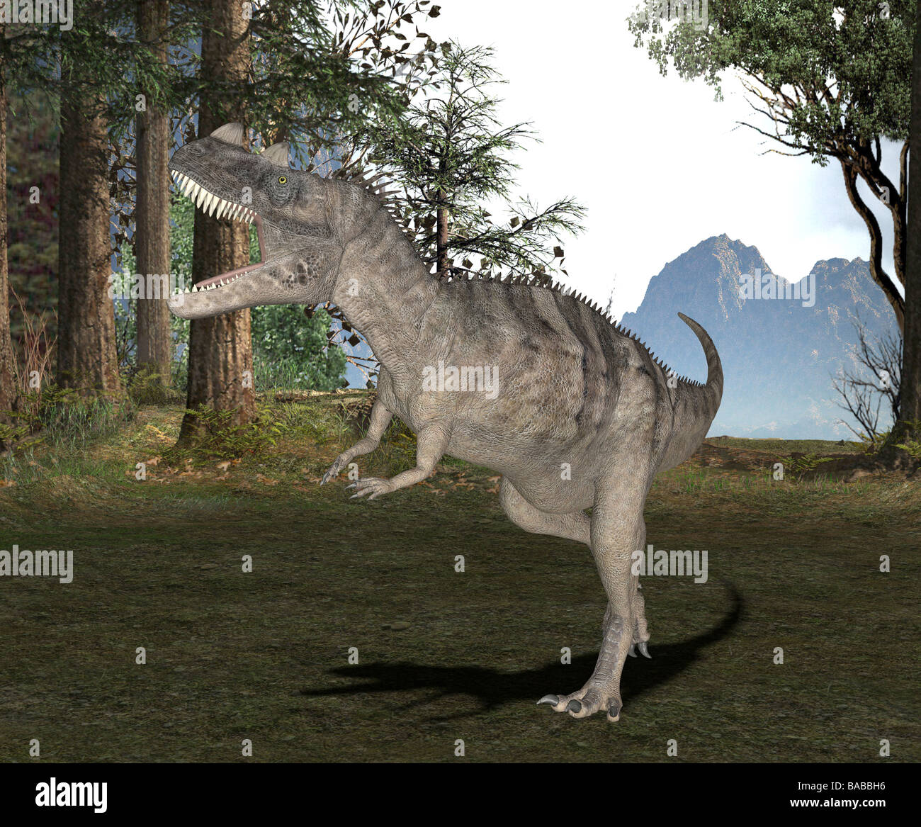 Ceratosaurus ceratosaurus hi-res stock photography and images - Alamy
