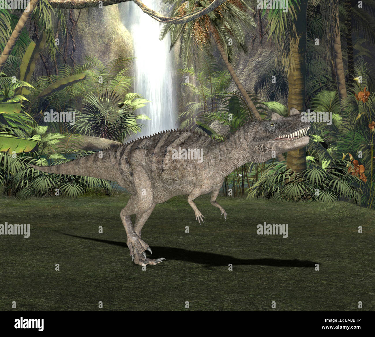 Ceratosaurus hi-res stock photography and images - Alamy