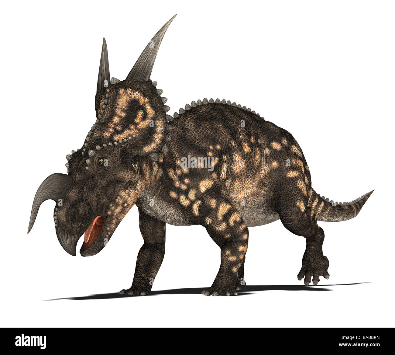 Einiosaurus High Resolution Stock Photography and Images - Alamy