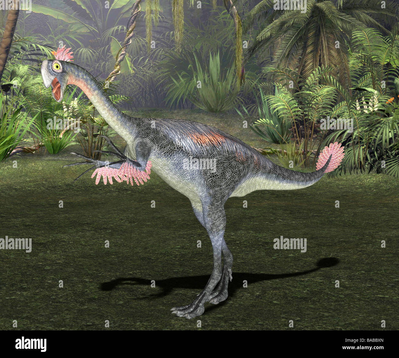 Gigantoraptor dinosaur hi-res stock photography and images - Alamy