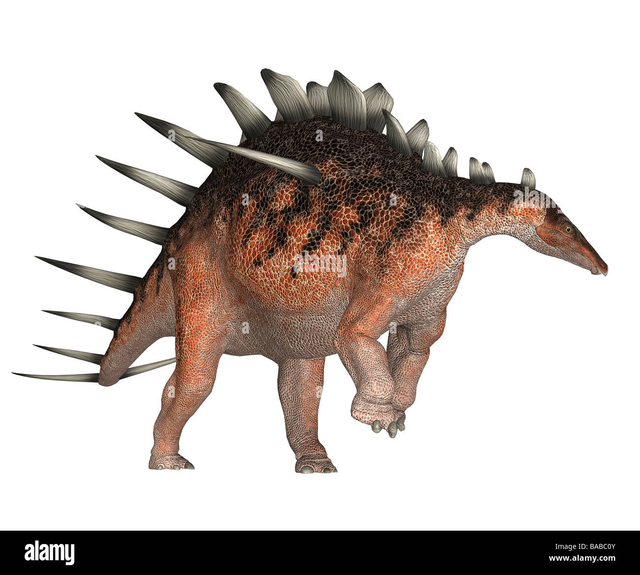 Kentrosaurus hi-res stock photography and images - Alamy