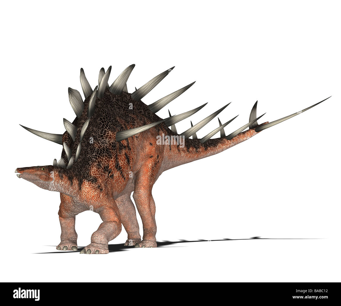 Kentrosaurus hi-res stock photography and images - Alamy