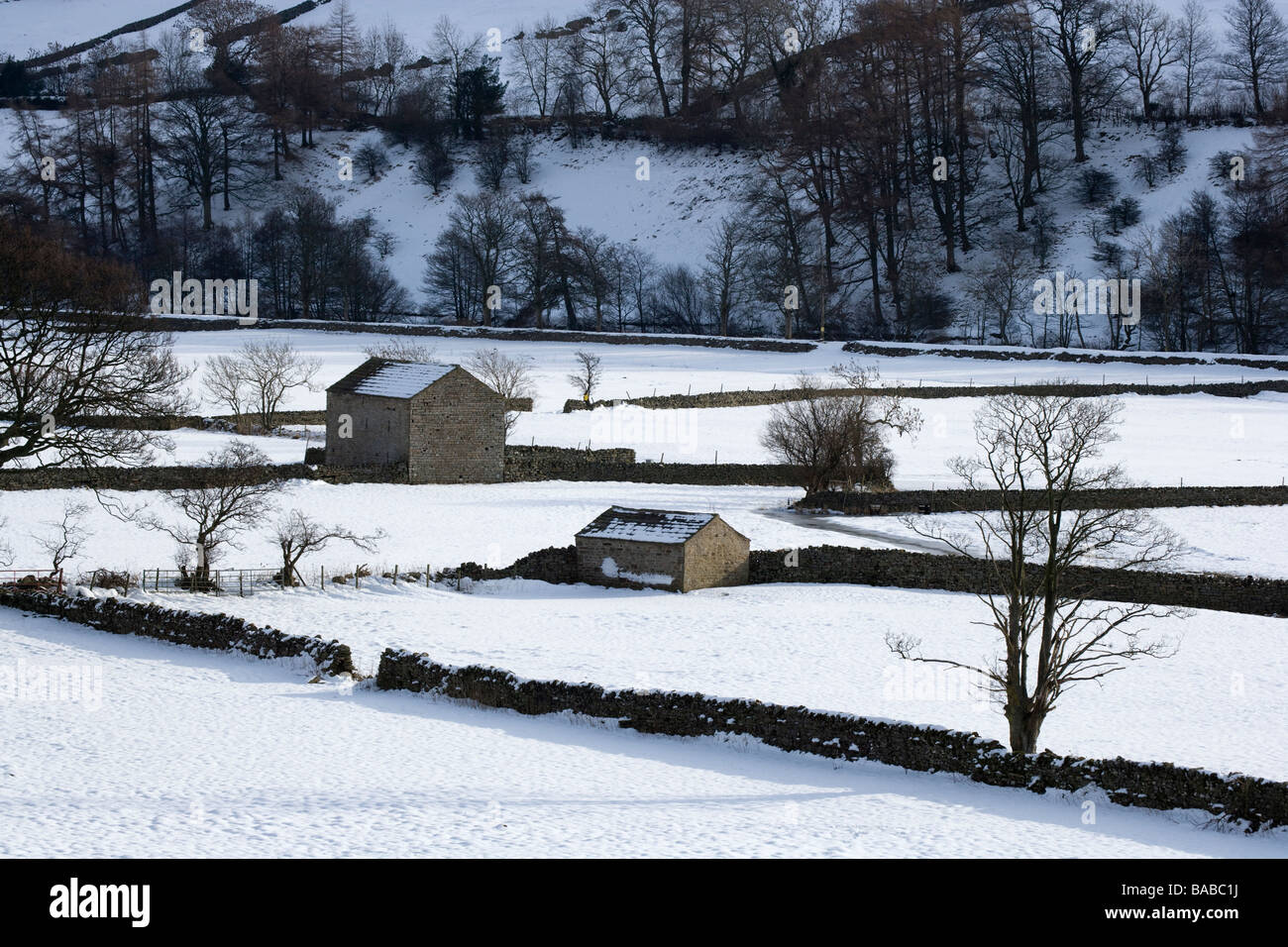 Low Row Swaledale in winter North Yorkshire England UK Stock Photo - Alamy