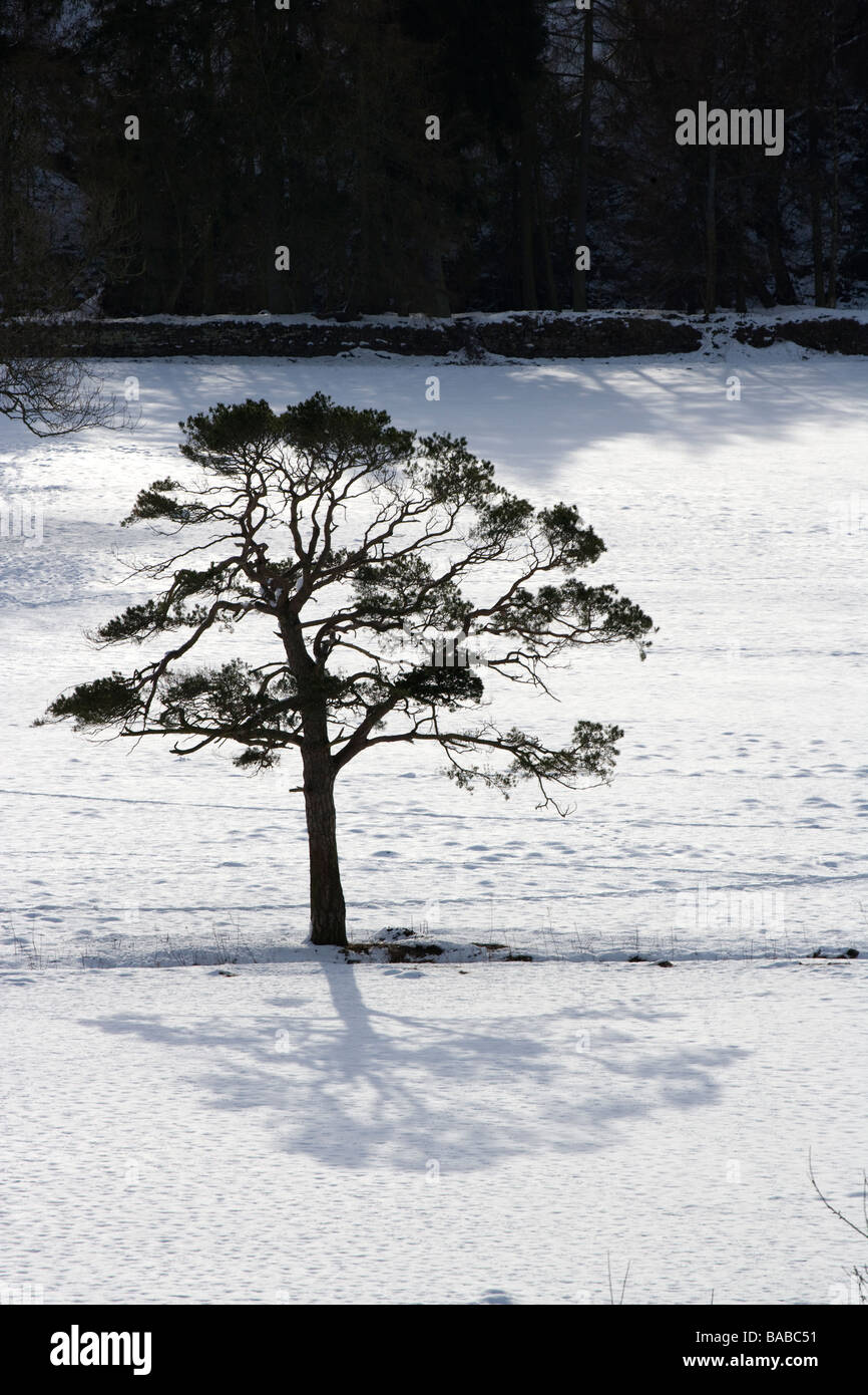Low row swaledale yorkshire dales hi-res stock photography and images ...