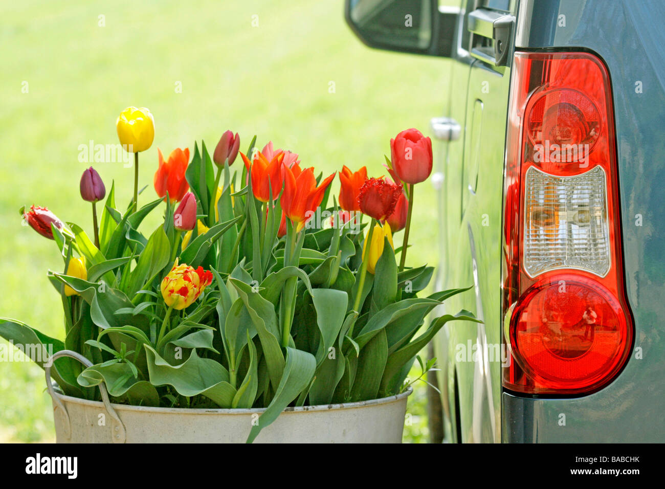 Car flower hi-res stock photography and images - Alamy