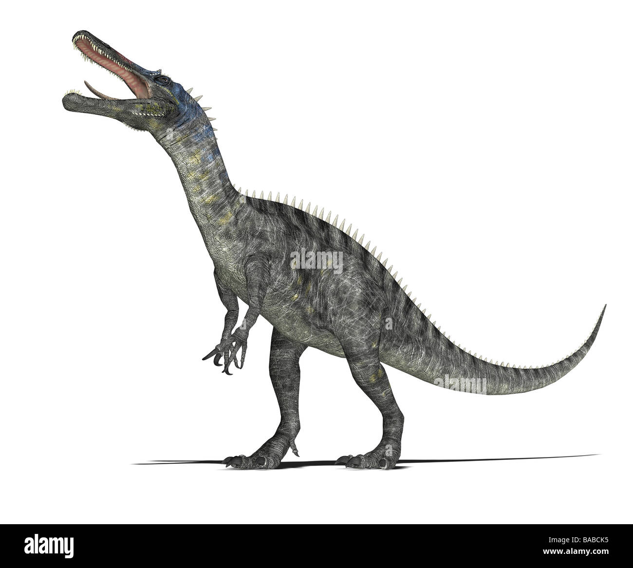 Suchomimus hi-res stock photography and images - Alamy