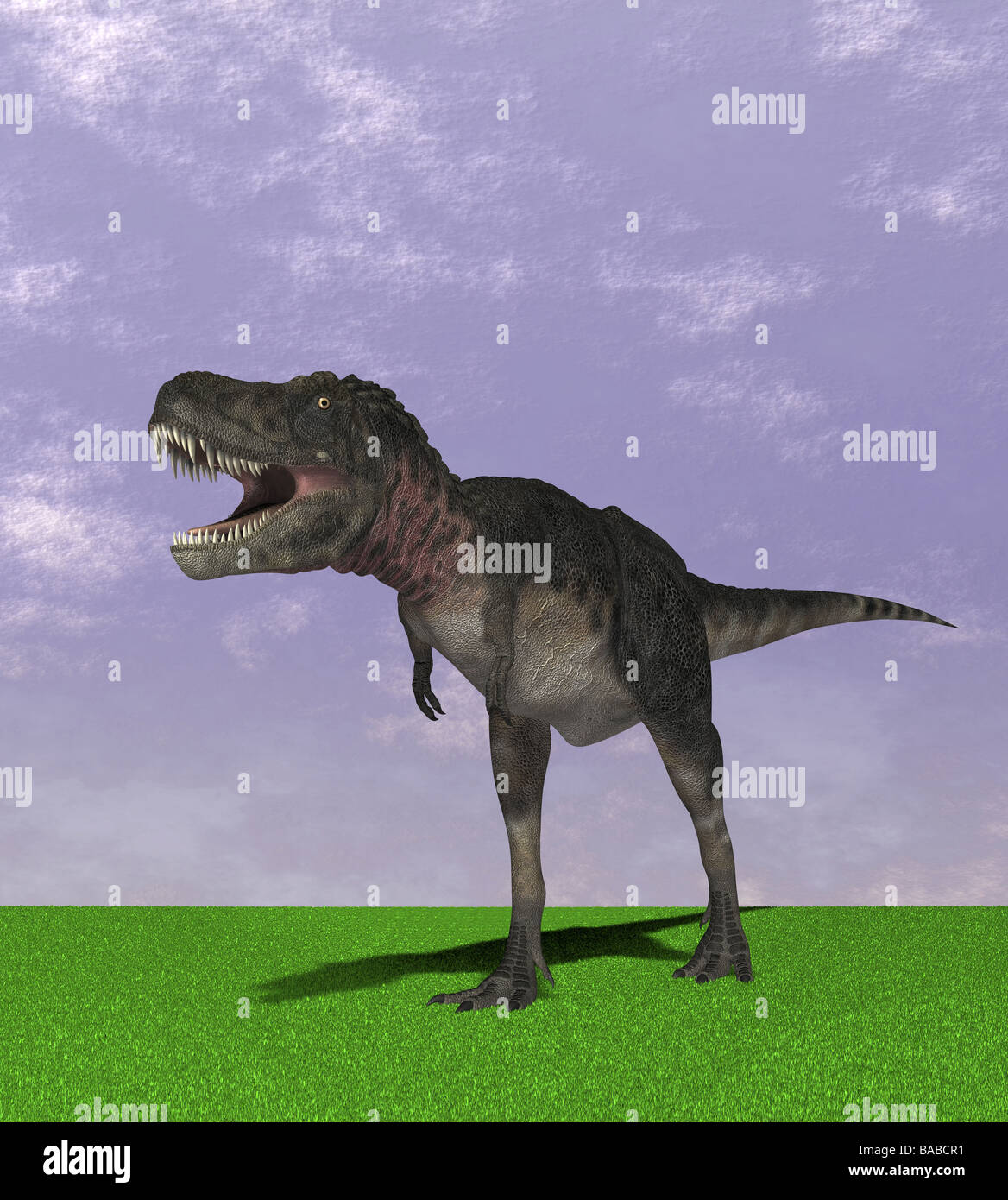 Tarbosaurus hi-res stock photography and images - Alamy