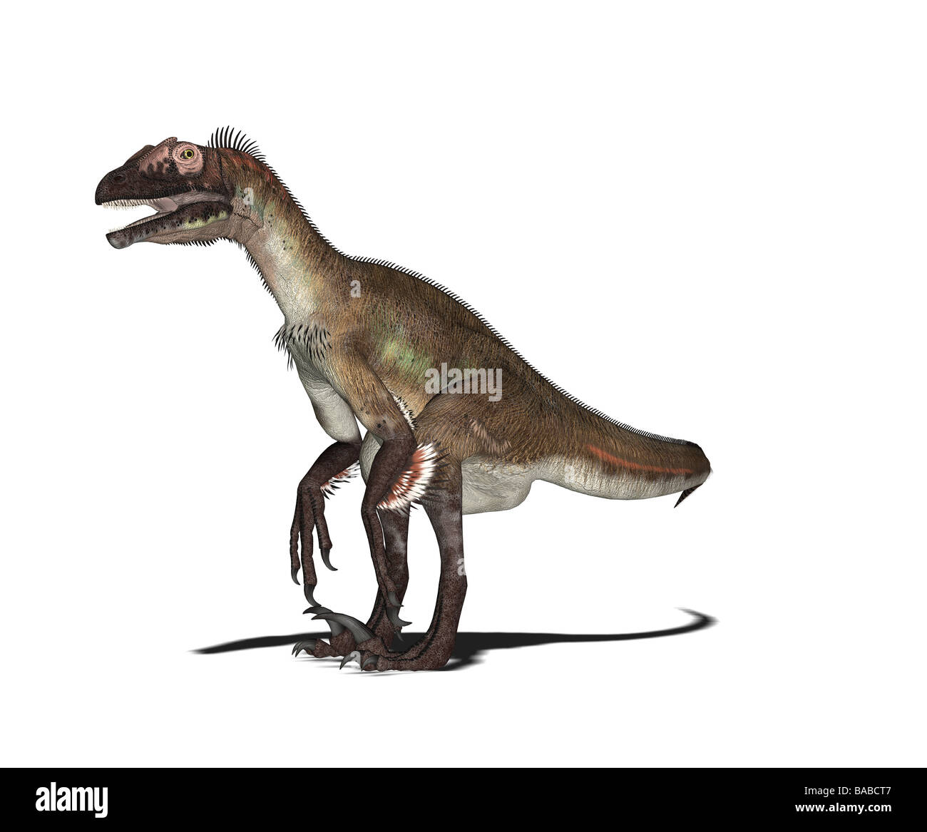 Utahraptor hi-res stock photography and images - Alamy