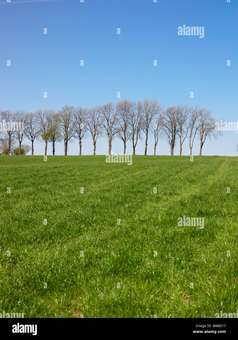 Sweden fields hi-res stock photography and images - Alamy