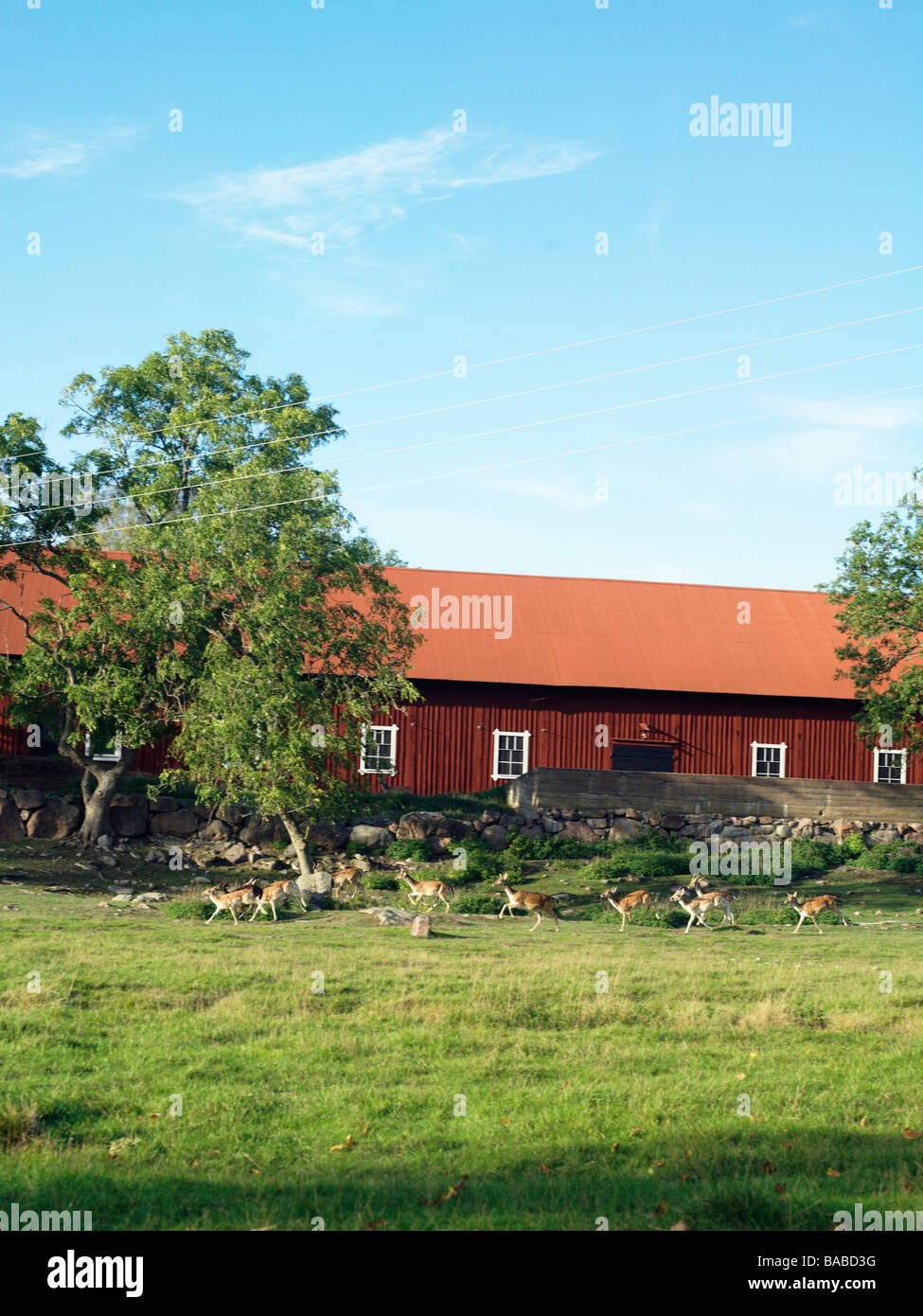 A farm and an enclosed pasture Smaland Sweden Stock Photo - Alamy