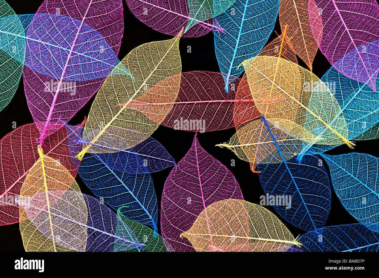 Colourful Patterns And Designs