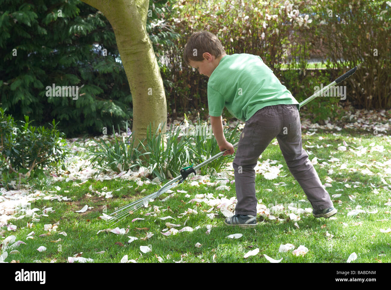 Young boy gardening Stock Photo - Alamy