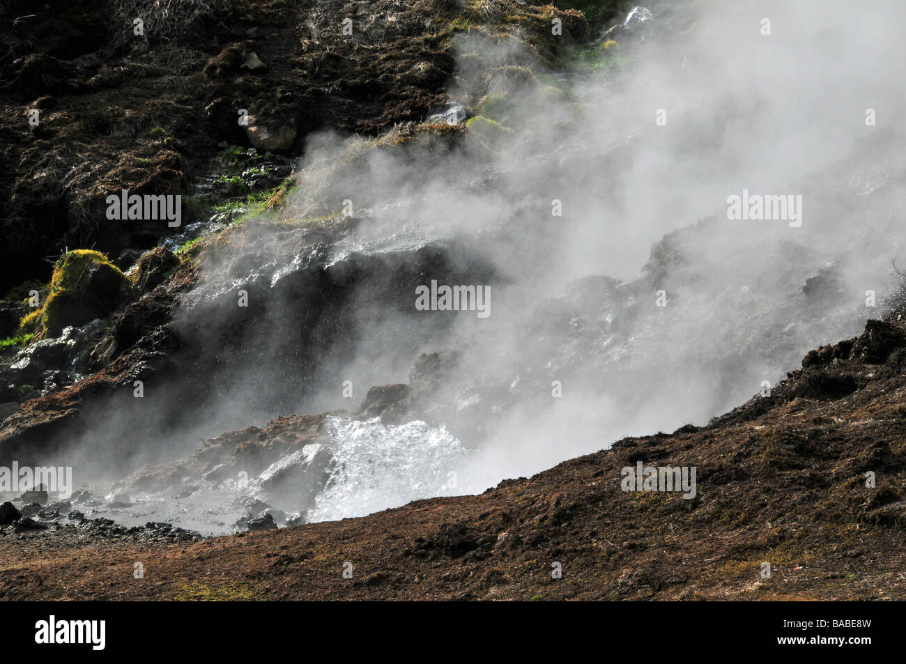 Boiling waters erupting from a hot spring steam vent (fumarole ...