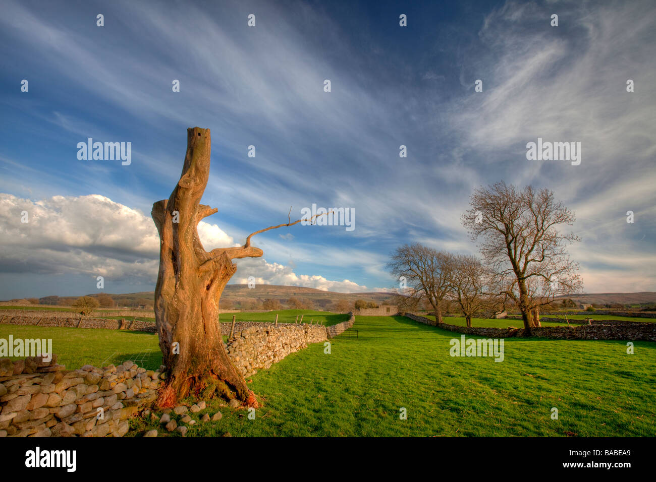 Amazing view in Carperby, Wensleydale, Yorkshire Dales, Yorkshire ...