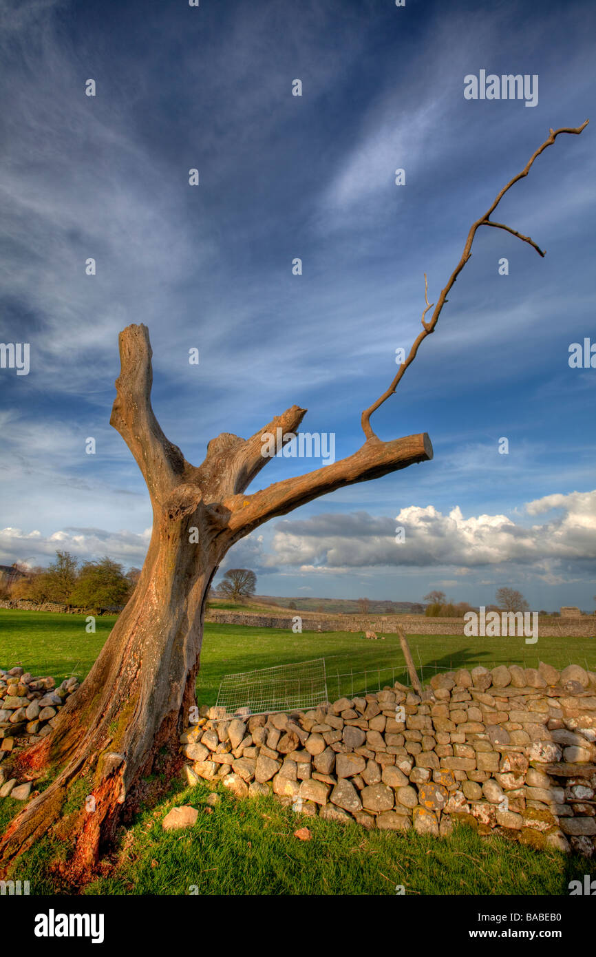 Amazing view in Carperby, Wensleydale, Yorkshire Dales, Yorkshire ...