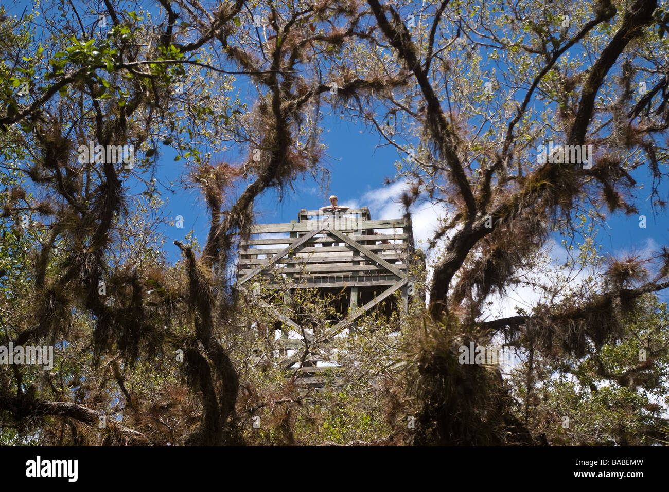 Young teenage boy peering out of lookout tower as seen from ground ...