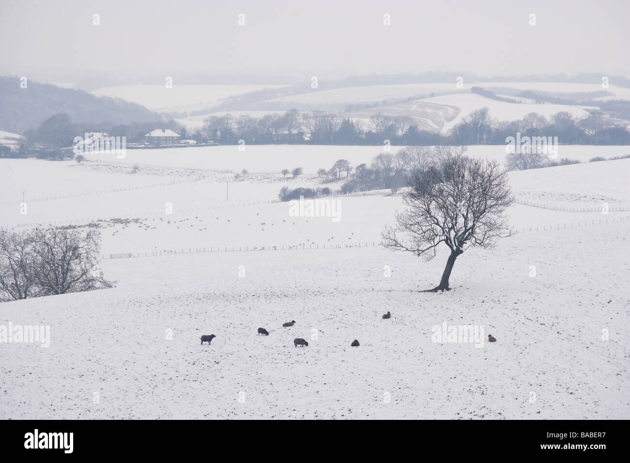 South Downs winter landscape Stock Photo - Alamy