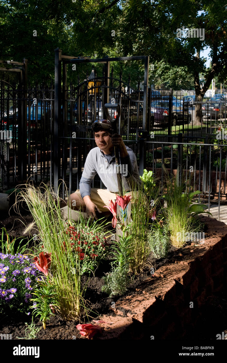 Hispanic Italian landscaping architect working in raised perennial ...