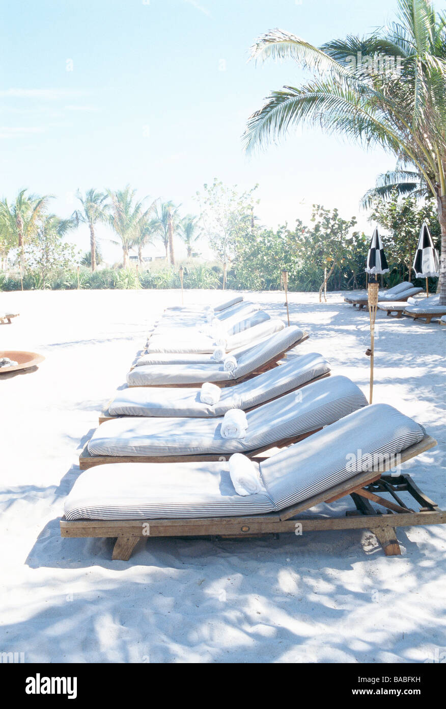 Sun chairs on the beach Miami USA Stock Photo - Alamy