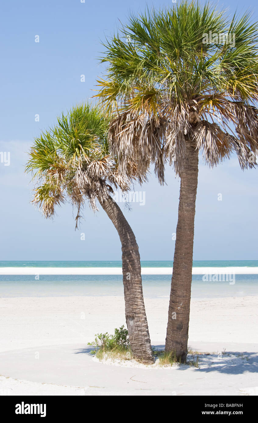 Beach scene with palm trees at Fort DeSoto Park, Florida Stock Photo ...