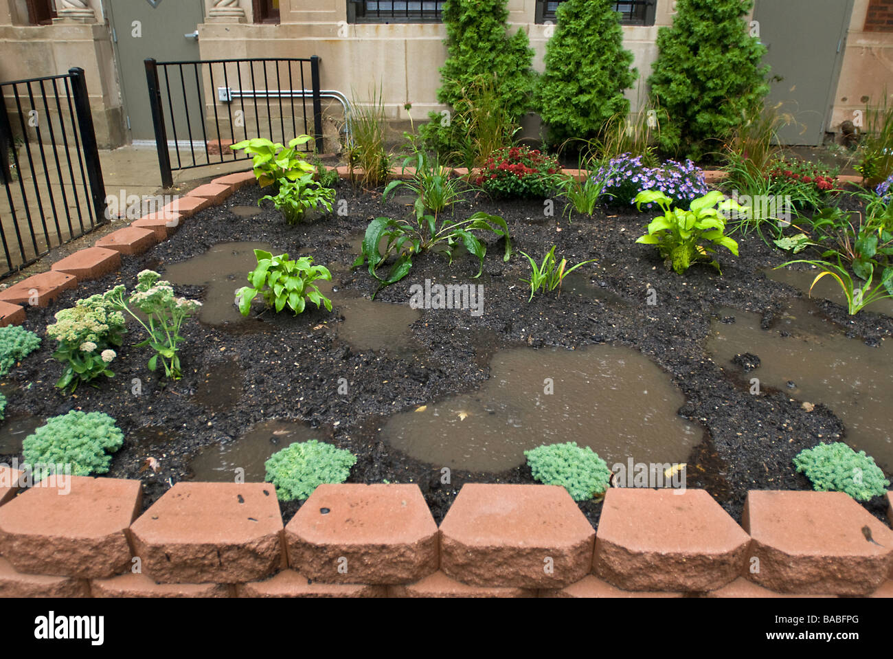 Newly planted raised flower garden for apartment building being flooded ...
