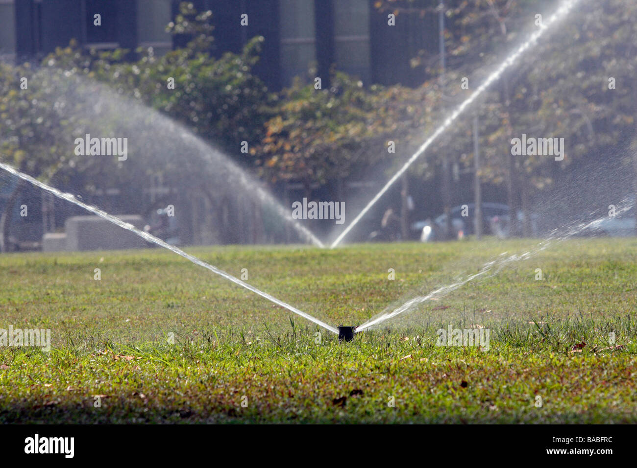 Water sprays on lawn Stock Photo - Alamy