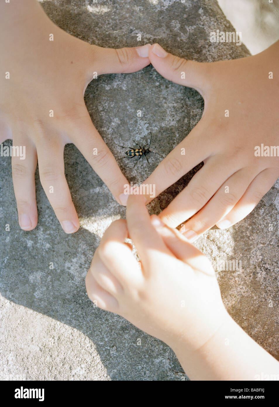 Children investigating bugs hi-res stock photography and images - Alamy