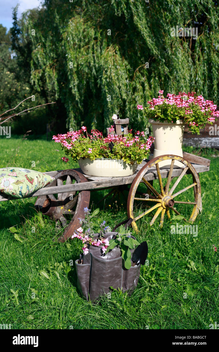 An old barrow with flowers Sweden Stock Photo - Alamy
