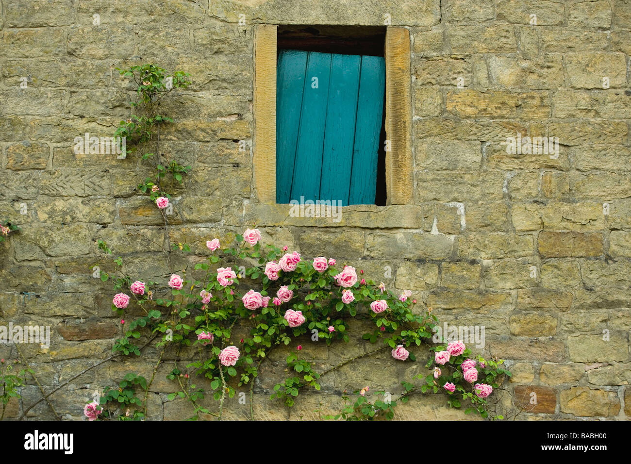 Window of an old barn with roses Stock Photo - Alamy
