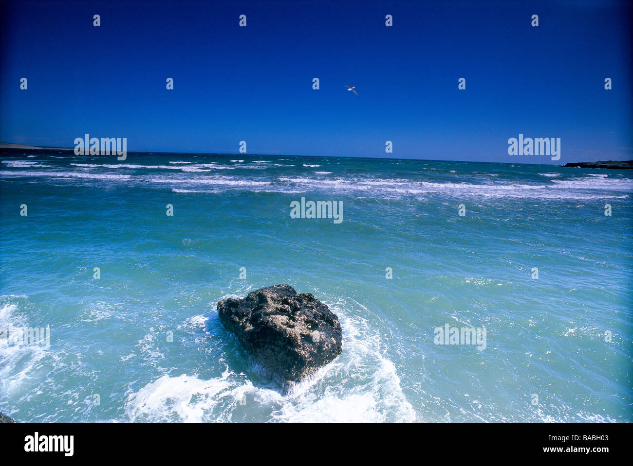 The Valdes Peninsula in Argentina Stock Photo - Alamy