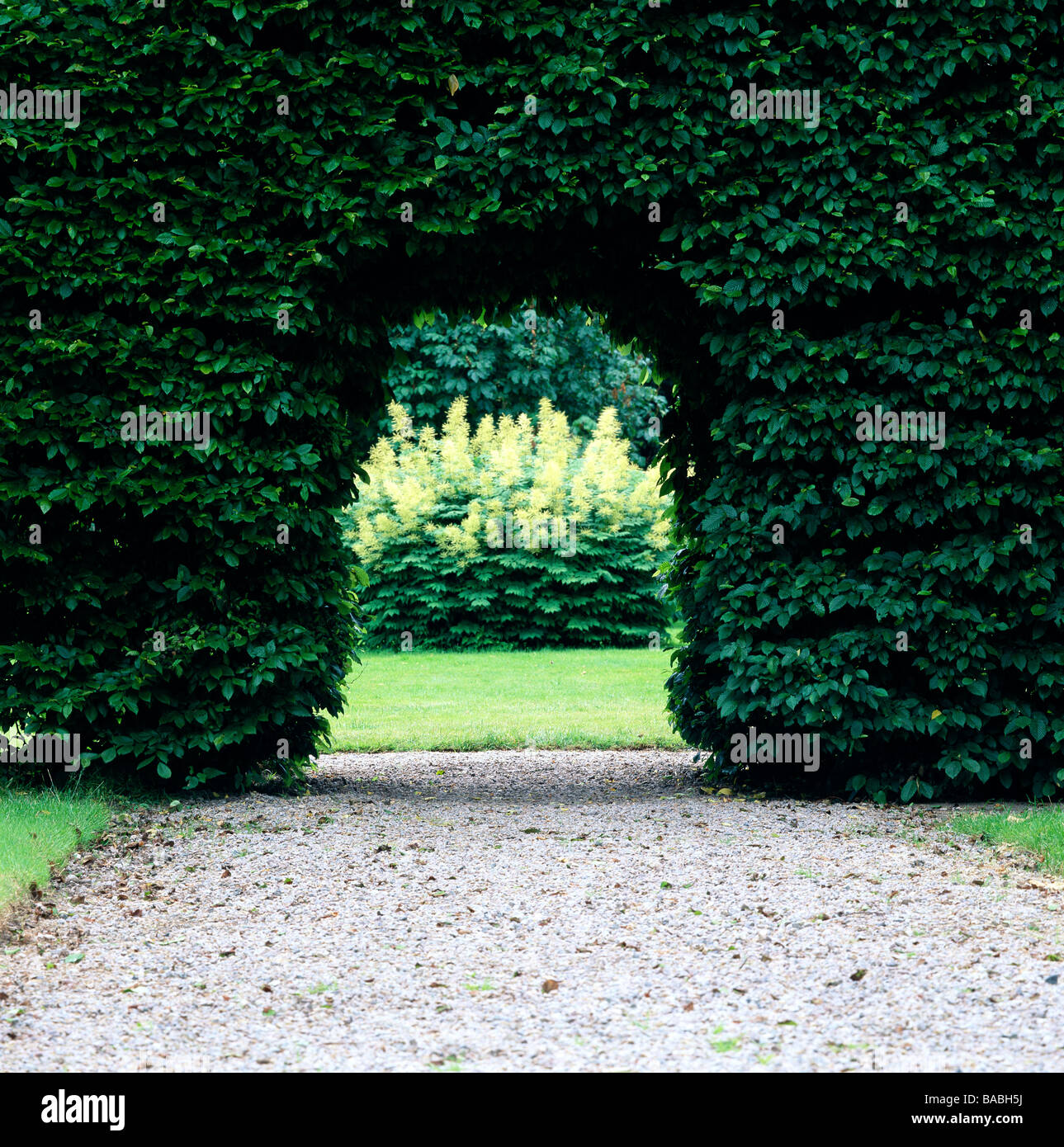 Archway in hedge hi-res stock photography and images - Alamy