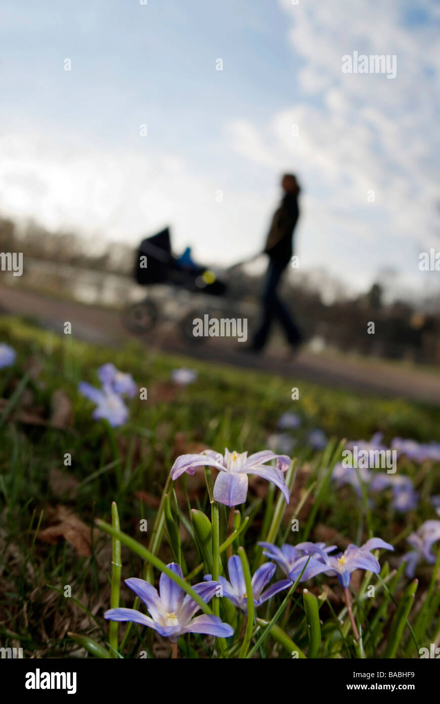 Sweden prams outside hi-res stock photography and images - Alamy