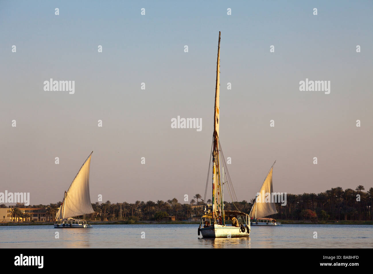 sailing boats (feluccas) on the Nile at Cairo, Egypt Stock Photo - Alamy