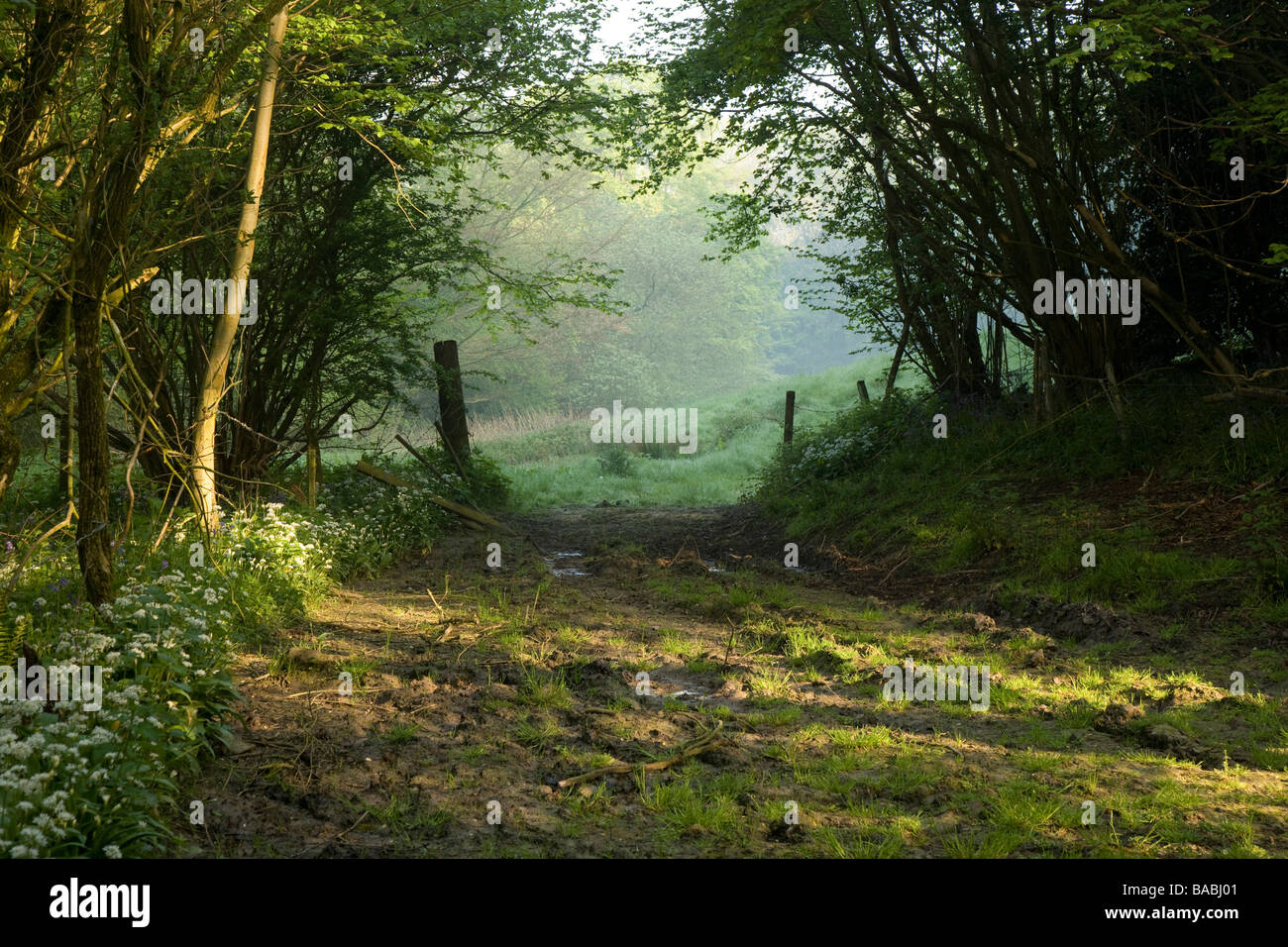 Field gateway in spring Stock Photo - Alamy
