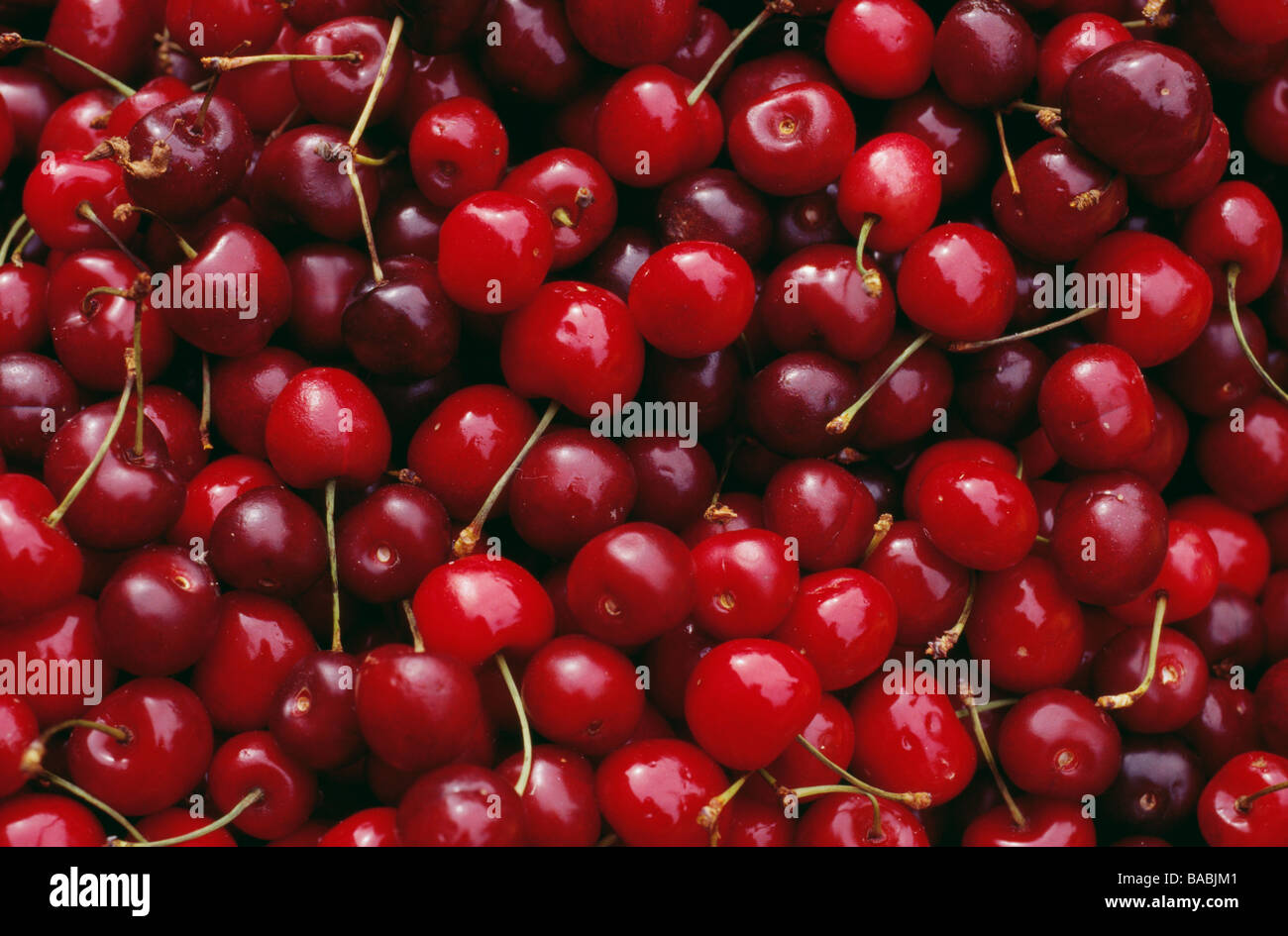 Rounder fruits hi-res stock photography and images - Alamy