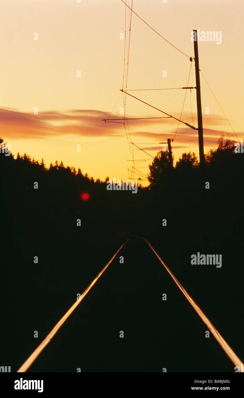 Railway trees hi-res stock photography and images - Alamy