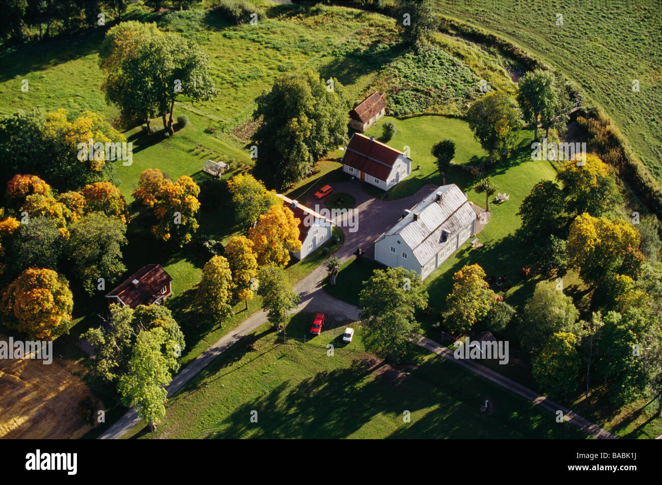 Houses surrounded by trees elevated view Stock Photo - Alamy
