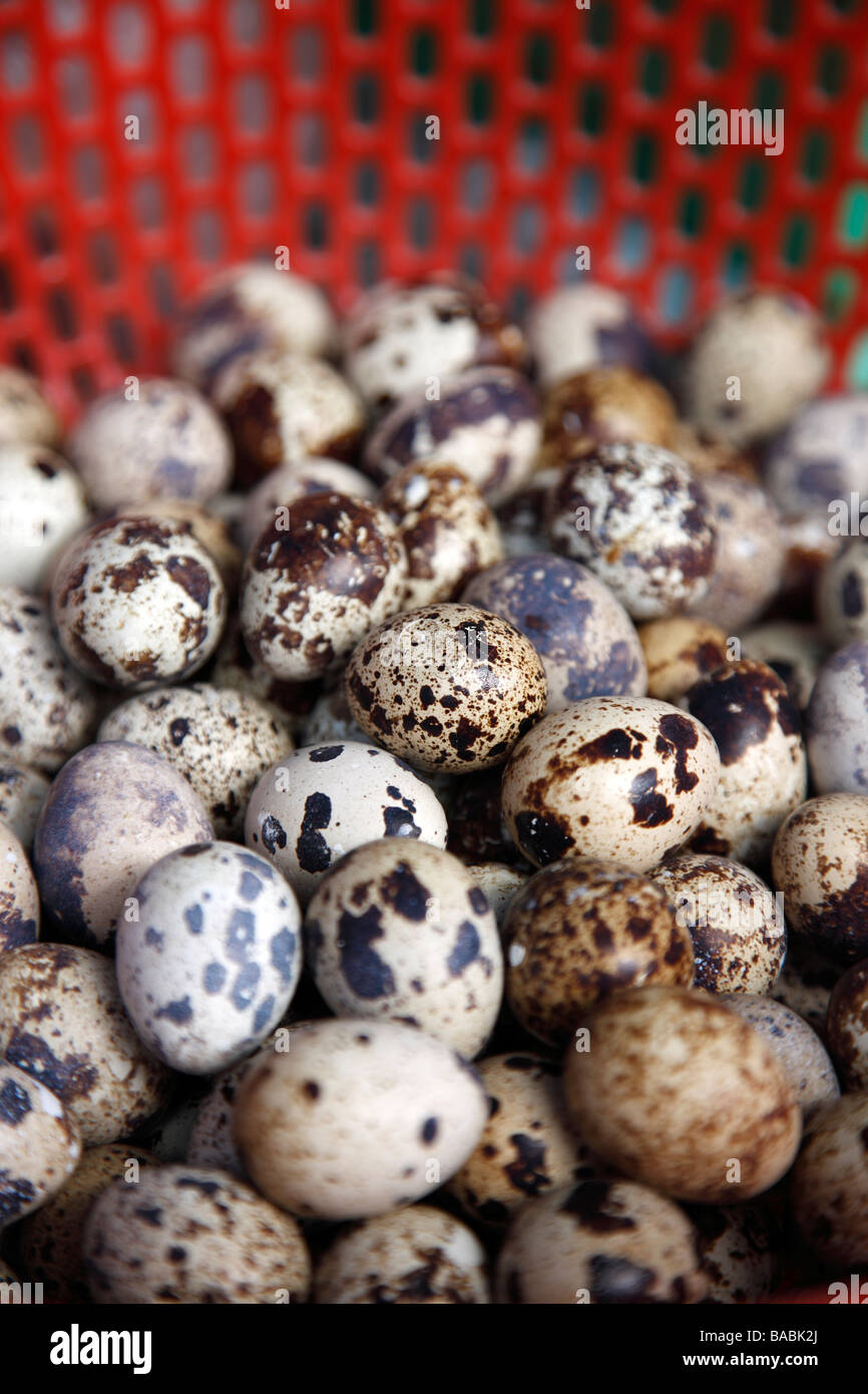 Poached quails eggs hi-res stock photography and images - Alamy