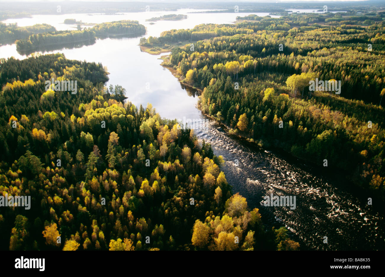 River flowing amidst dense forest Stock Photo - Alamy
