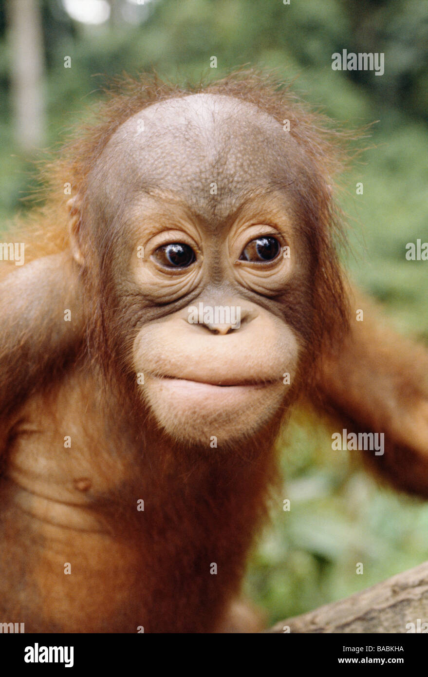 Hair colou hi-res stock photography and images - Alamy