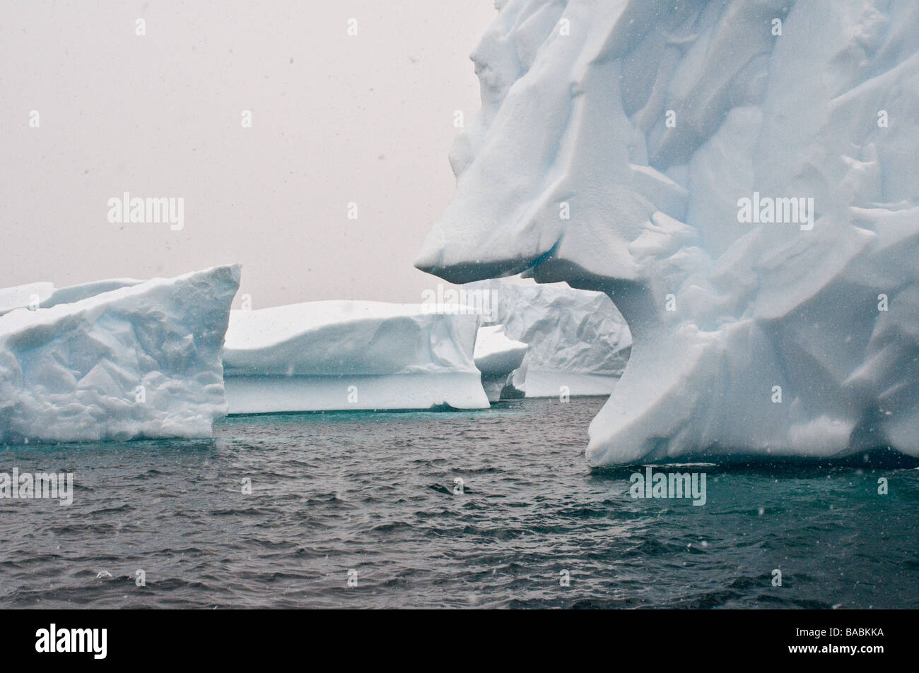 Pleneau Bay, Antarctica Stock Photo - Alamy