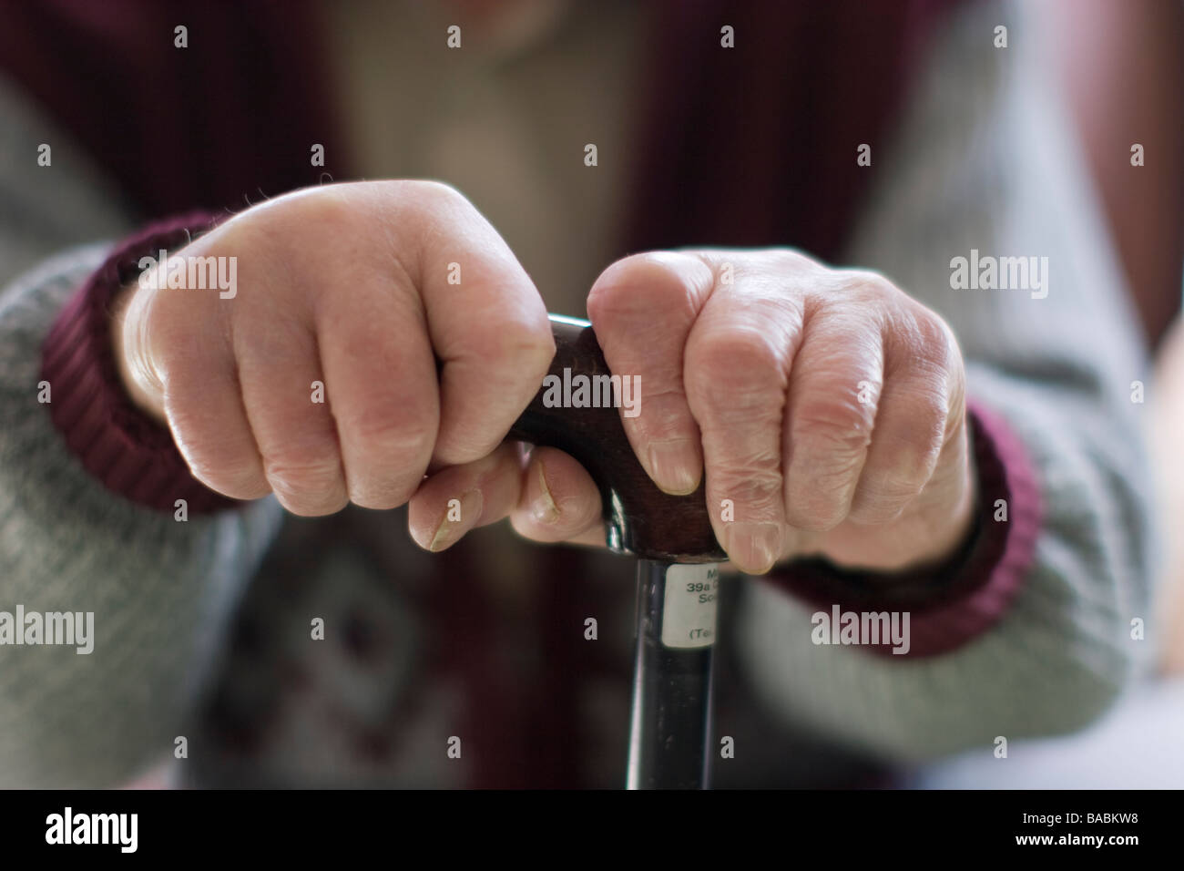 Old hands holding walking stick High Resolution Stock Photography and ...