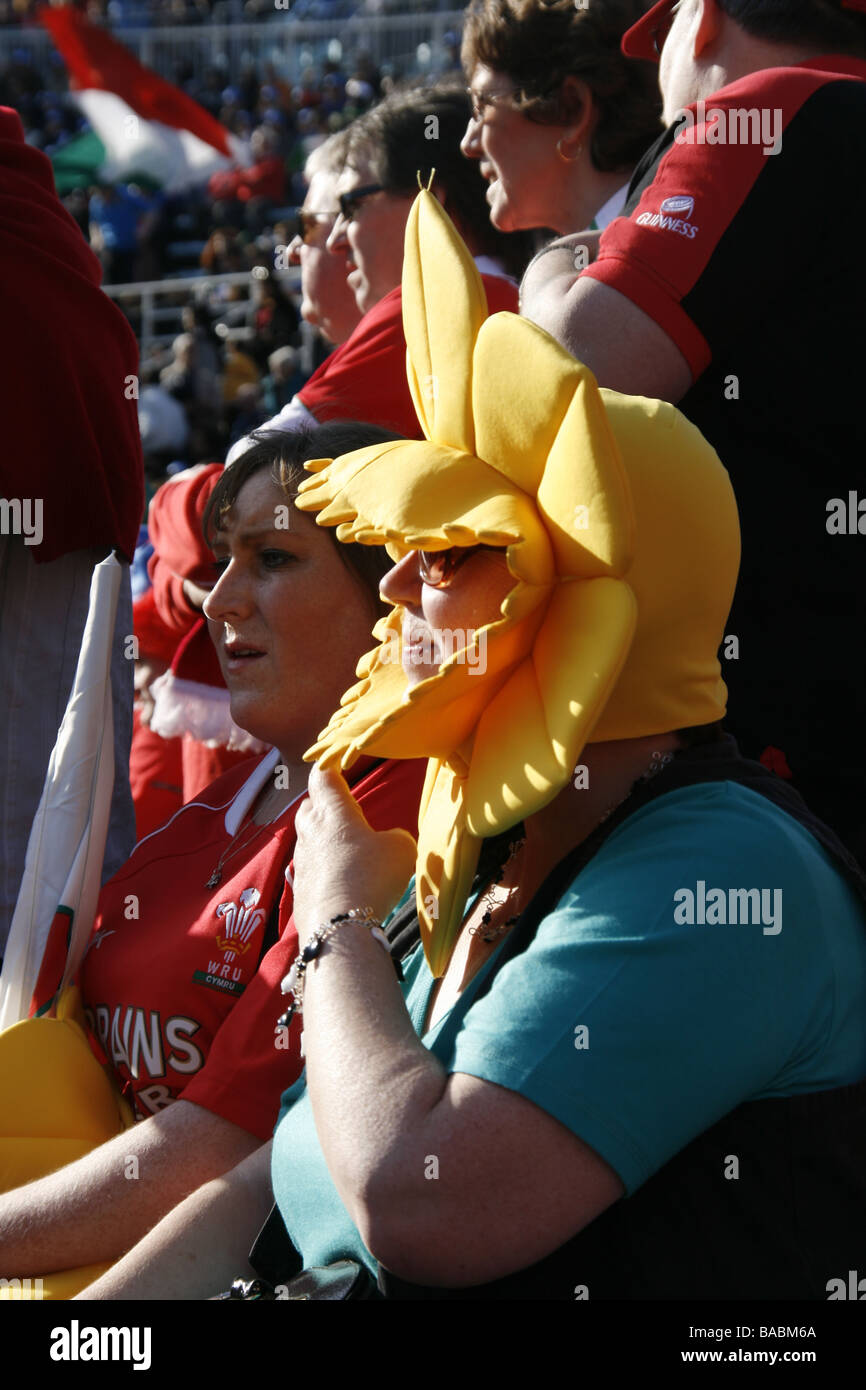 Welsh people rugby fans hi-res stock photography and images - Alamy