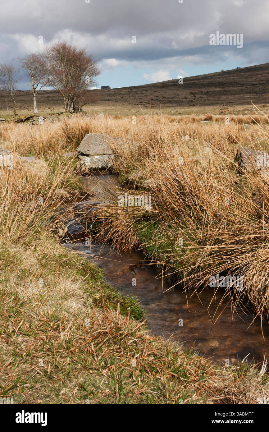 A typical moorland scene from Dartmoor with a small stream or rivulet ...
