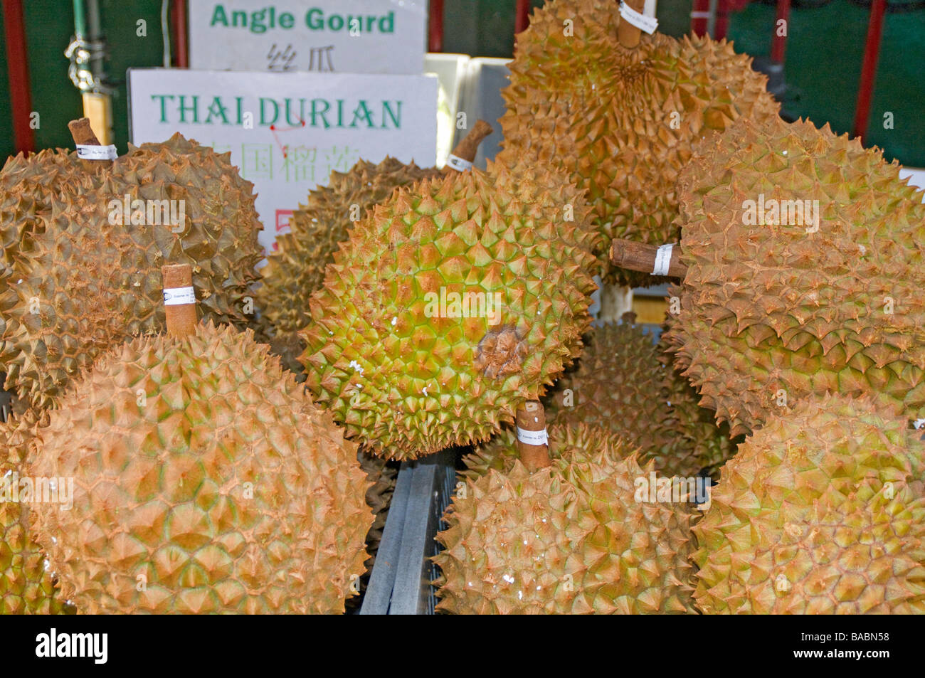 The durian is the fruit of several tree species belonging to the genus ...