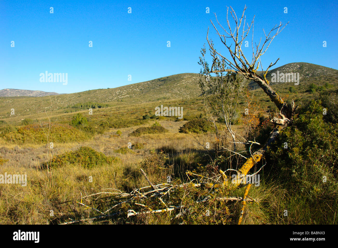 The garraf natural park hi-res stock photography and images - Alamy