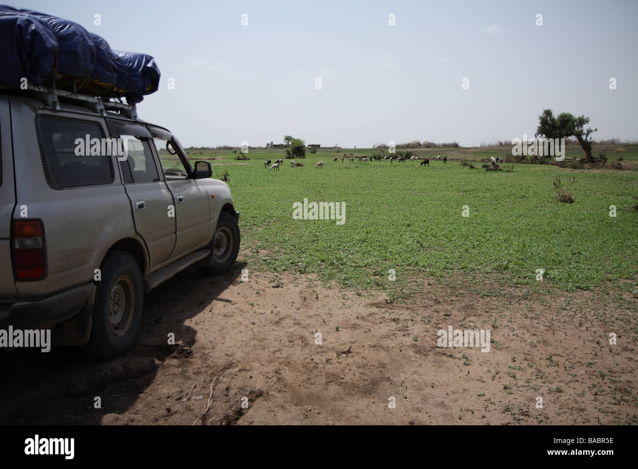 The plains of Afar, Ethiopia framed by an NGO vehicle Stock Photo - Alamy
